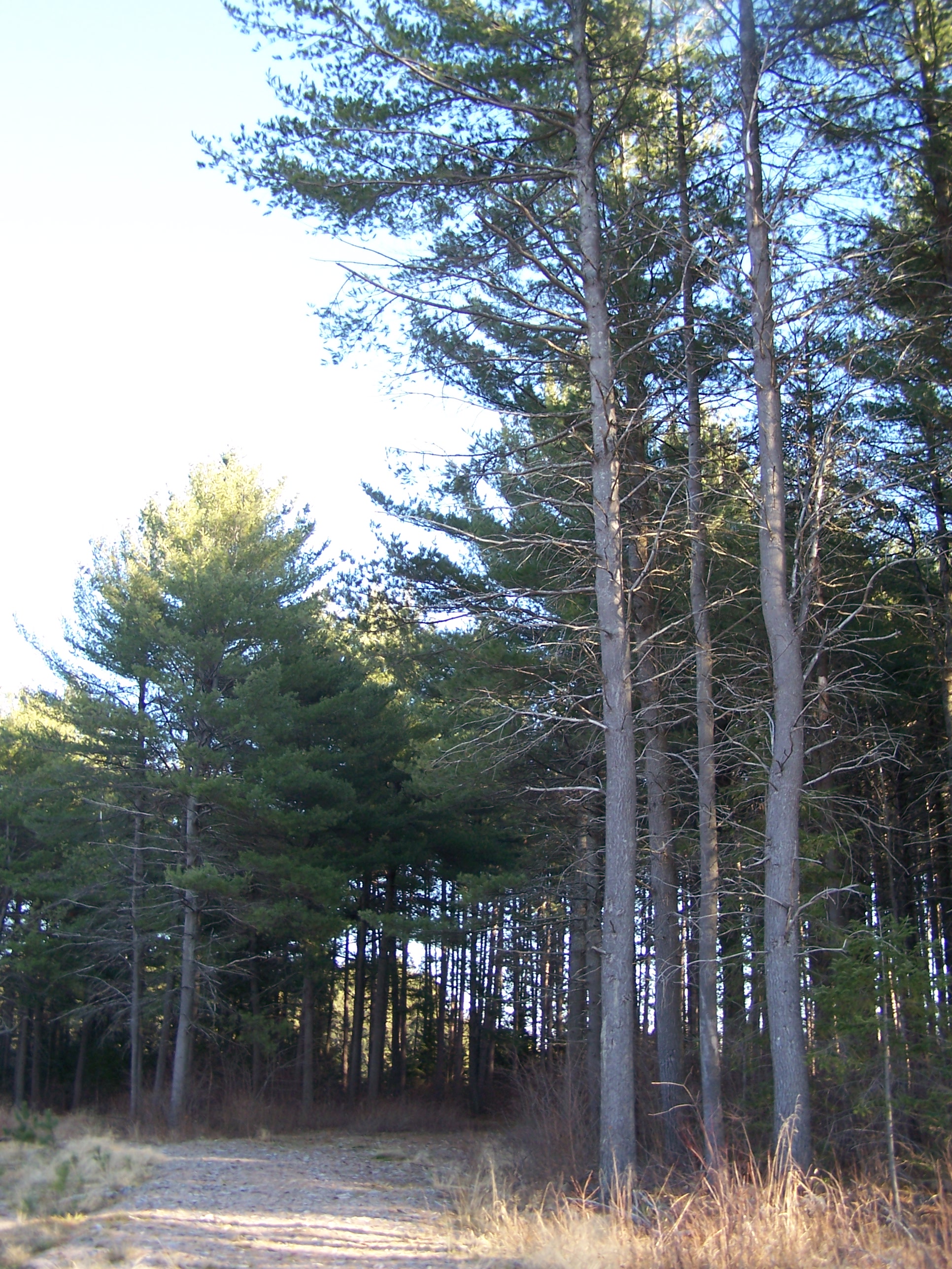 Trails | City of North Bay