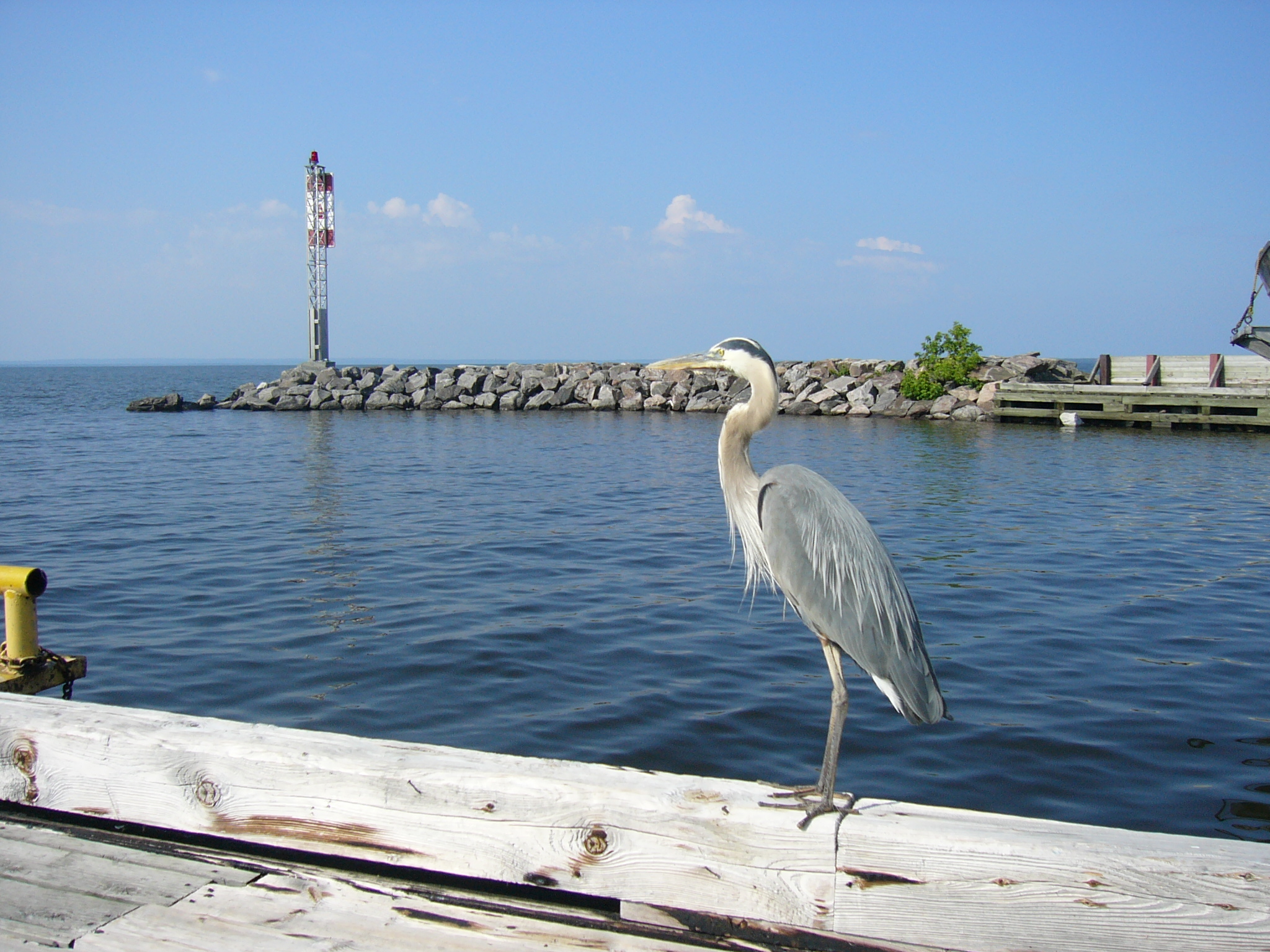 Waterfront | City of North Bay