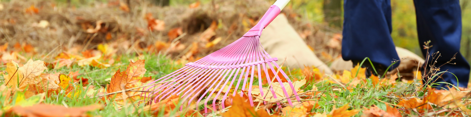 Organic Drop-Off | City of North Bay