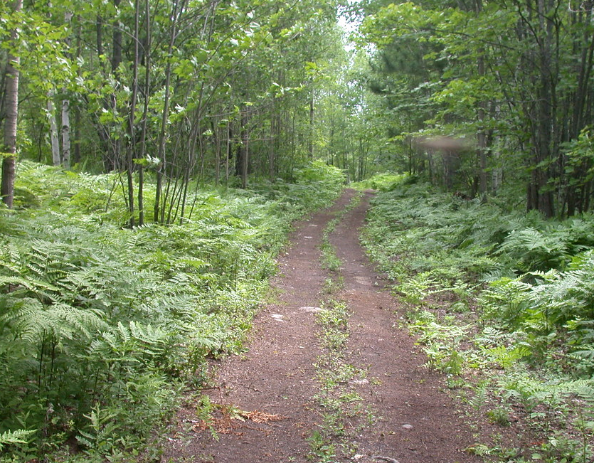 Trails | City of North Bay